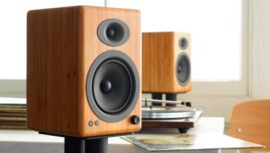 Speakers: Passive vs Powered vs Active (Helpful Guide) | Vinyl Restart